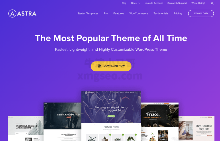 6个Wordpress主题推荐 - 速度快且适合SEO - 牛津小马哥